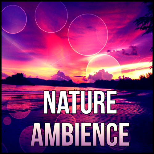 Stream Nature Background Music by Relaxing Nature Sounds Collection ...