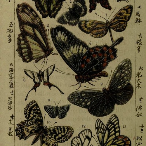 Stream Roddy Ricch-The Box Speed up fast by ♡ | Listen online for free ...