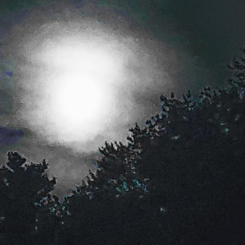 Stream gacha brainrot by flekn | Listen online for free on SoundCloud