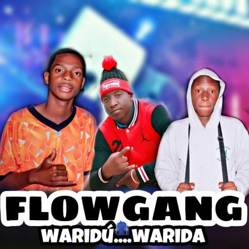 Stream Flow Gang - Waridú Warida (2018) .mp3 by Kay kamba | Listen ...