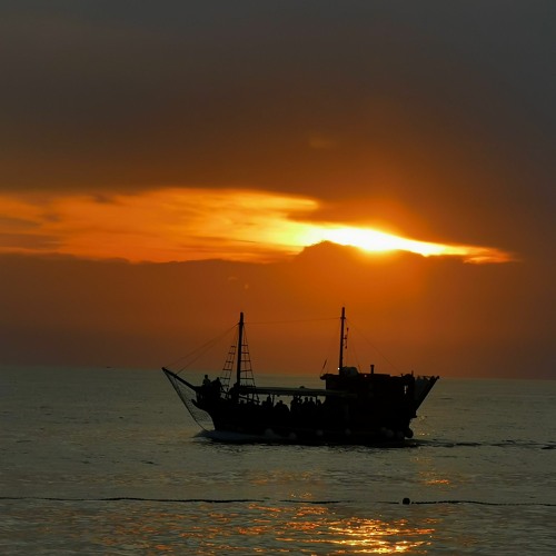 Stream Chris Krum - Follow The Sun by Chris Krum | Listen online for ...