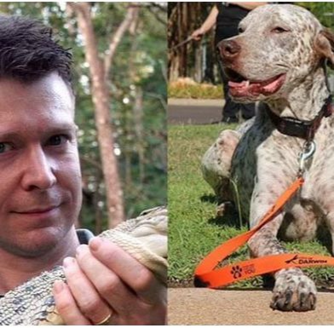 Stream Watch Latest Adam Britton Dog Video by Shivani Malhotra | Listen ...