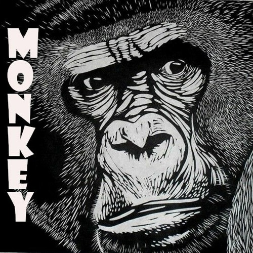 Monkey Album - Listen to music