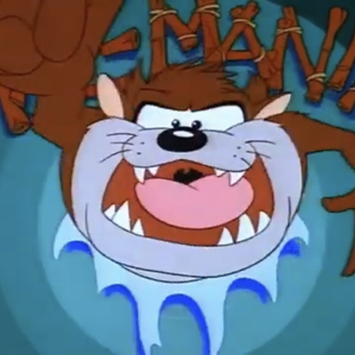 Taz Mania The Series