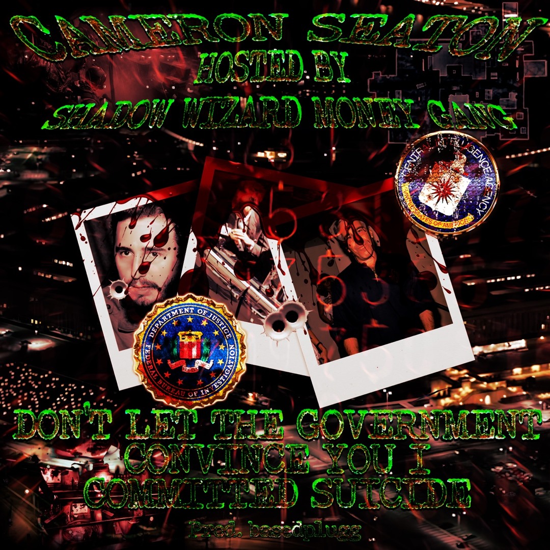 Stream (SWMG) Cameron Seaton - Don’t Let The Government Convince You I ...