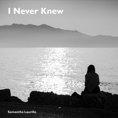 Stream I Never Knew by Terence Anthony | Listen online for free on ...
