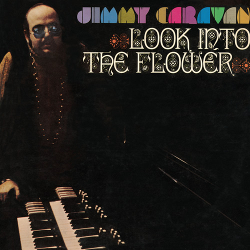 Stream Look Into The Flower by Jimmy Caravan | Listen online for free ...
