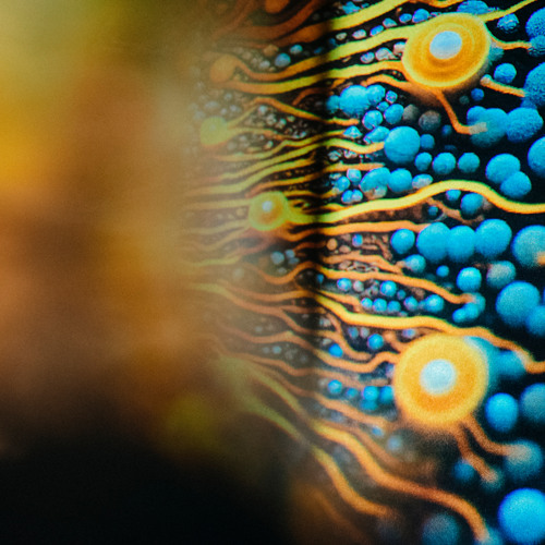 Stream Laura Susana Wong Boren | Listen to Armada Today playlist online ...