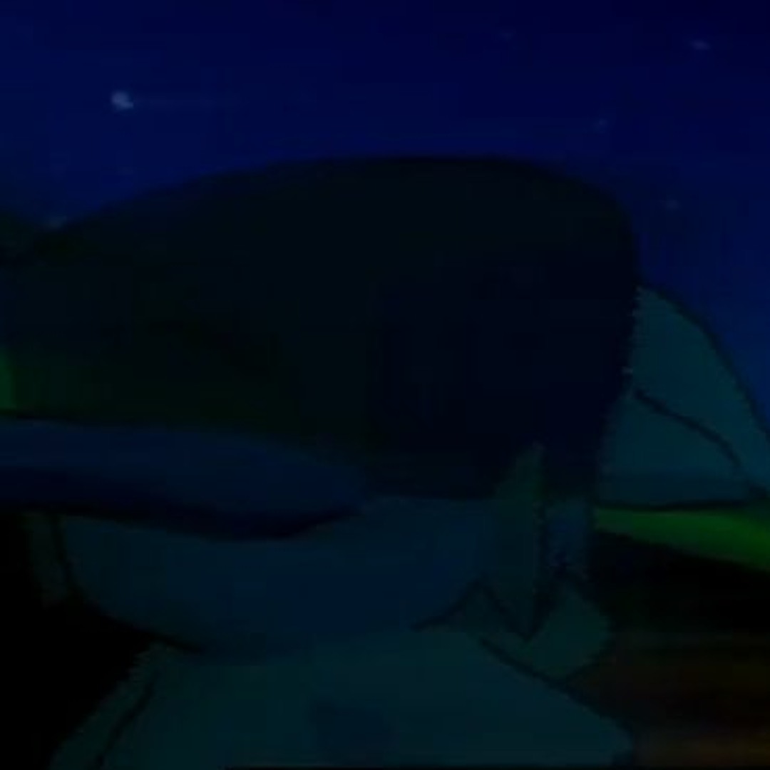 Stream The Wish - FnF - Super Funkin' Galaxy OST (Demo) by Nick ...