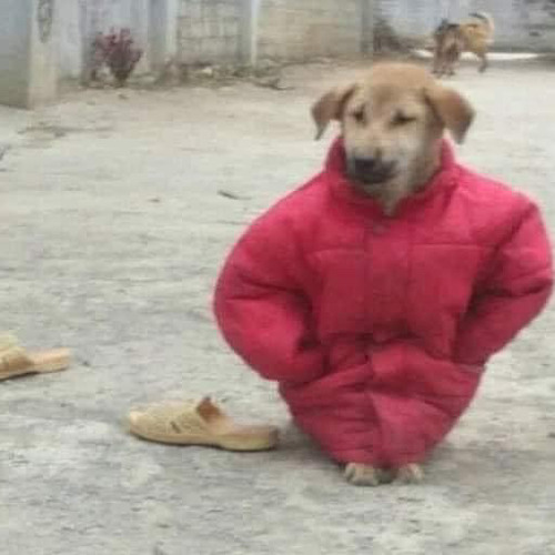 Stream HOUSE LAK 2023 LAST CHRISTMAS REMIX x MERRY CHRISTMAS NHẠC GIÁNG ...