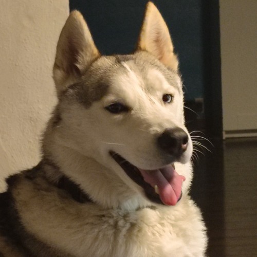 Stream Vacation Bible School (Hyperpop Remix) by Notcho Average Hoe ...