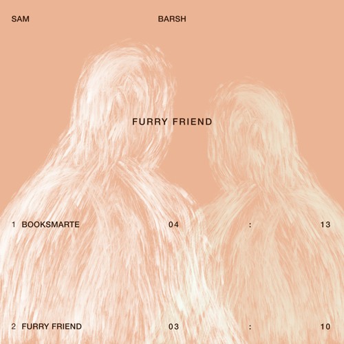 Stream Furry Friend by Sam Barsh | Listen online for free on SoundCloud