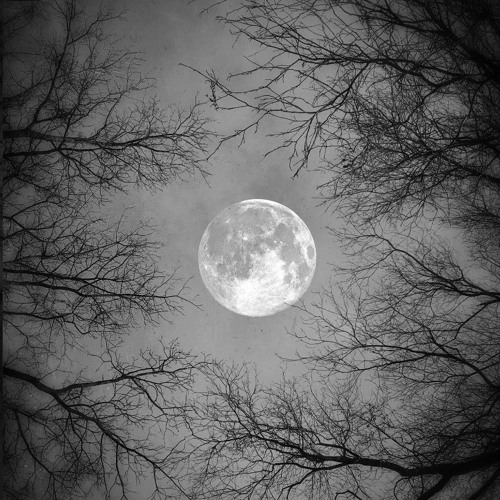 Stream 12. Psy Demon - Black & White Moon by Psy Demon® | Listen online ...