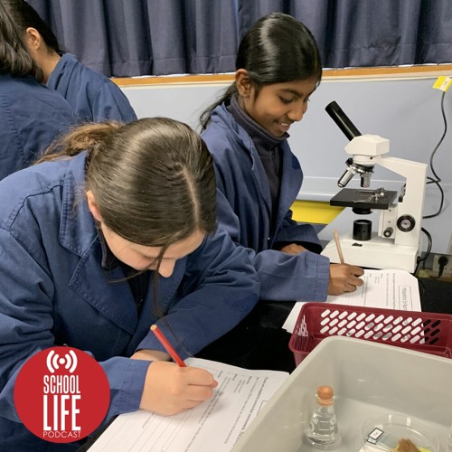 Stream episode St Gabriel's School - Primary Connections Day at OLSH ...
