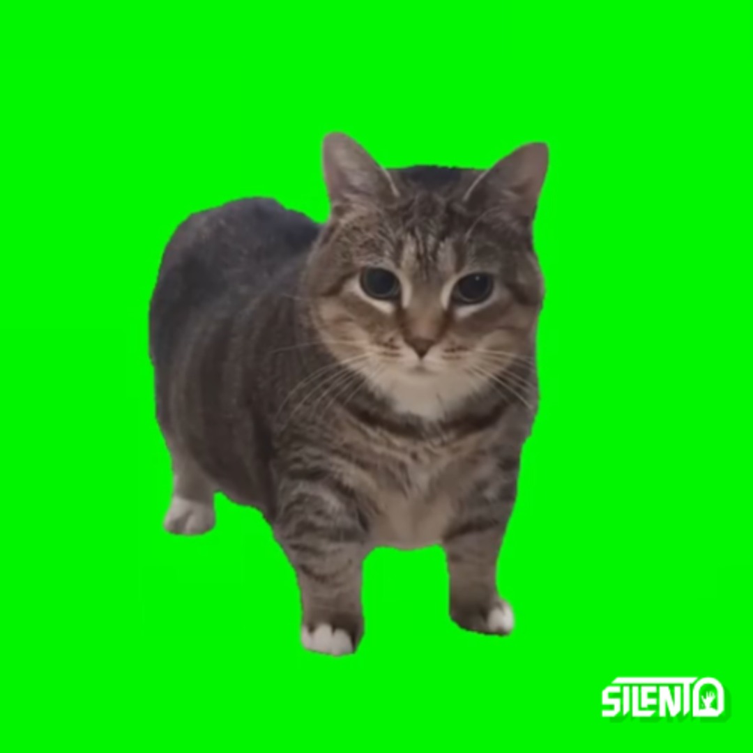 Stream oo ee aa ee by SilentTomb | Listen online for free on SoundCloud