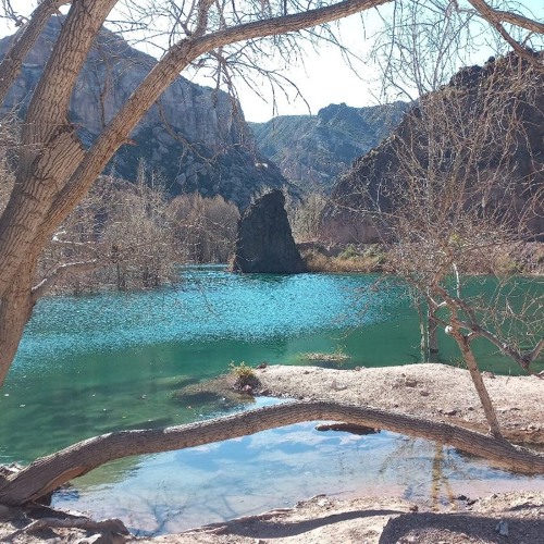 Stream Pato facha | Listen to no phonk = chill game playlist online for ...