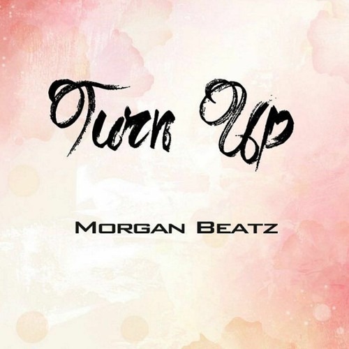 Stream Morgan Beatz - Zelda Remix by Carson Chin | Listen online for ...