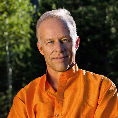 Stream Rod Stryker: Yoga Pedagogy, Hierarchies, and the Quest for ...