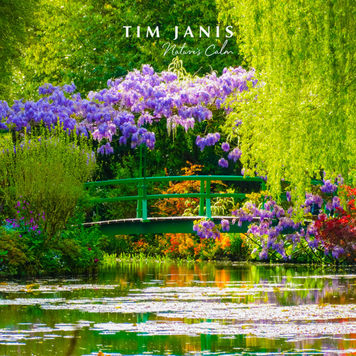 Stream Swiss Alps With Ambient Nature Sounds By Tim Janis Listen