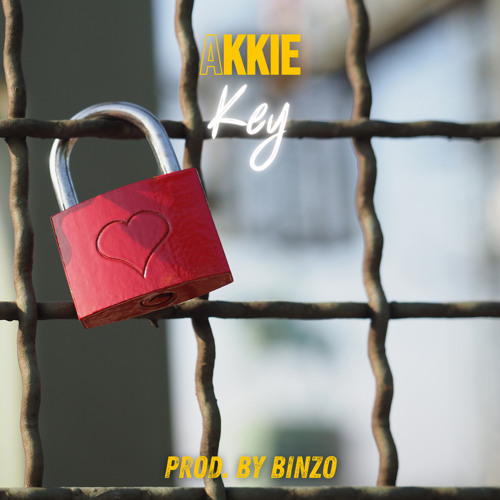 Stream Vliegen by Akkie | Listen online for free on SoundCloud