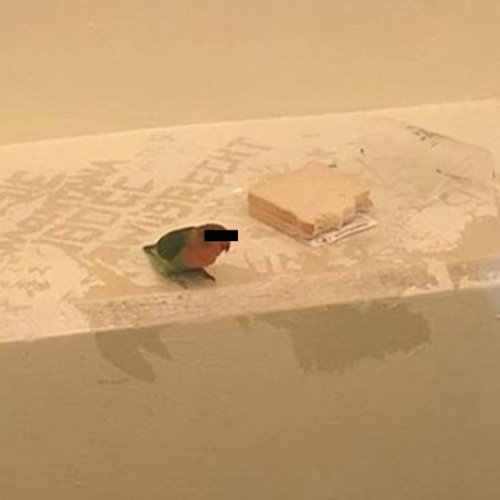 Stream generalist by Aksent | Listen online for free on SoundCloud