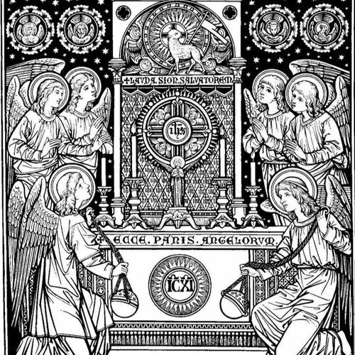 Stream Let's Expand Eucharistic Adoration! by Fr. Eric Sternberg ...