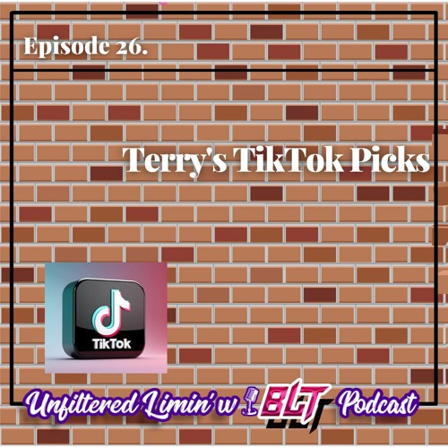 Stream episode Season 2 E26: Terry's TikTok Picks by Unfiltered Limin ...