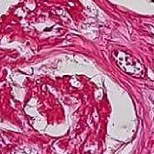 Stream TIMEZ TICKIN [BONFANTE HEXXD FLIP] by BONFANTE | Listen online ...