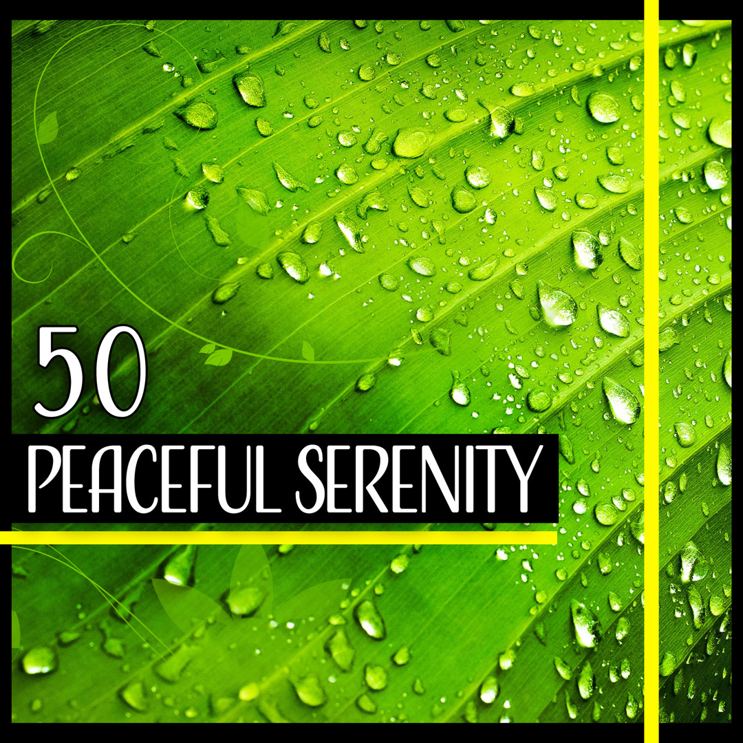 Stream Japanese Zen Green Garden by Music to Relax in Free Time ...