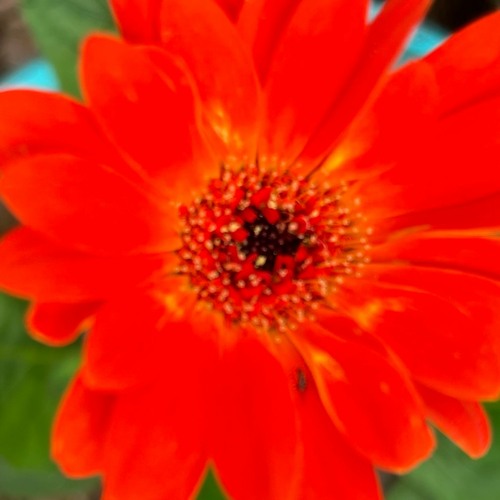 Stream "Impatient Exchange" by Deep Fathom | Listen online for free on ...