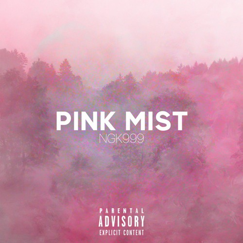 Stream PINK MIST by NGK999 | Listen online for free on SoundCloud