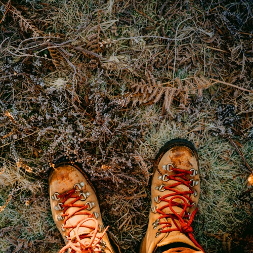 Stream Walking On Leaves, Sticks, and Mud | SFX – Horror, Gore ...