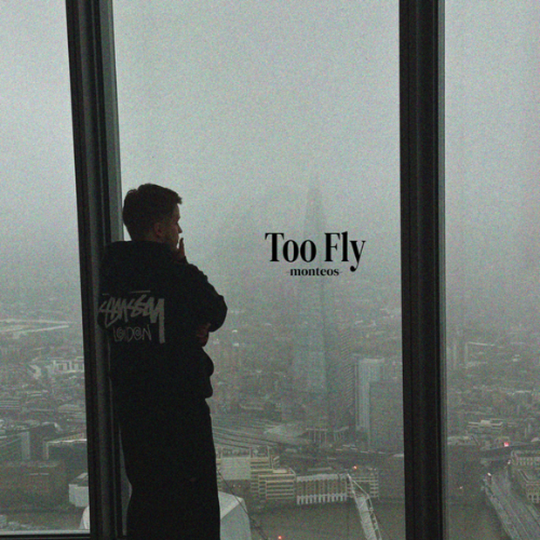 Stream (EXTRA) Too Fly by MONTEOS | Listen online for free on SoundCloud