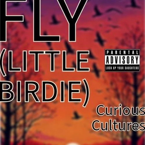 Stream Fly (Little Birdie) by Curious Cultures | Listen online for free ...