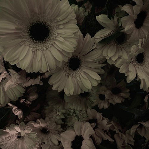Stream CODECAST X - Inskape - Dystopian Tribes by codecast | Listen ... Stream CODECAST X - Inskape - Dystopian Tribes by codecast | Listen ...