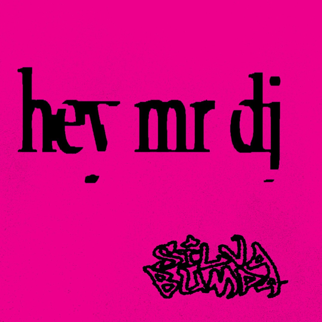 Stream Hey Mr DJ by SILVA BUMPA | Listen online for free on SoundCloud