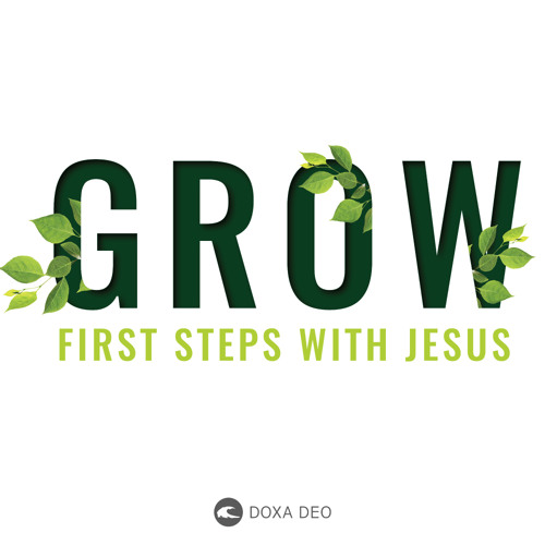 Stream Grow: First Steps with Jesus Day 15 - The guidance of the Holy ...