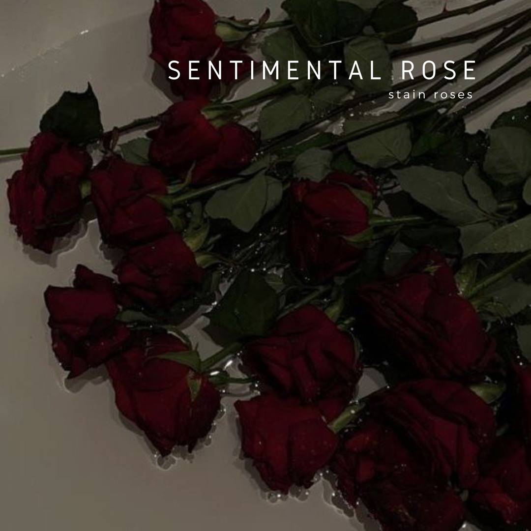 Stream Sentimental Rose (prod. stain roses) by stain roses | Listen ...