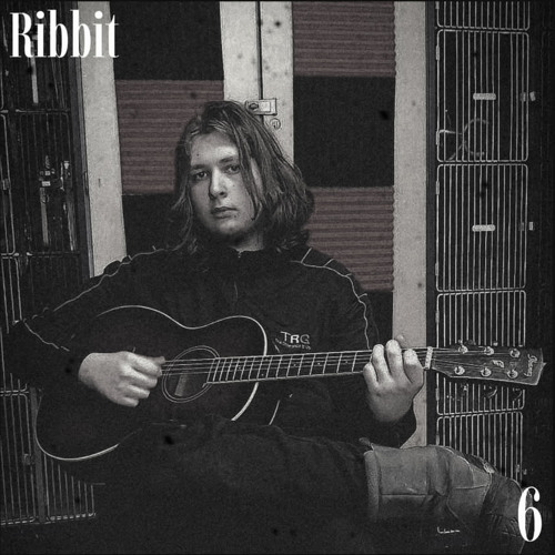 Stream Album Cover by RIBBIT | Listen online for free on SoundCloud