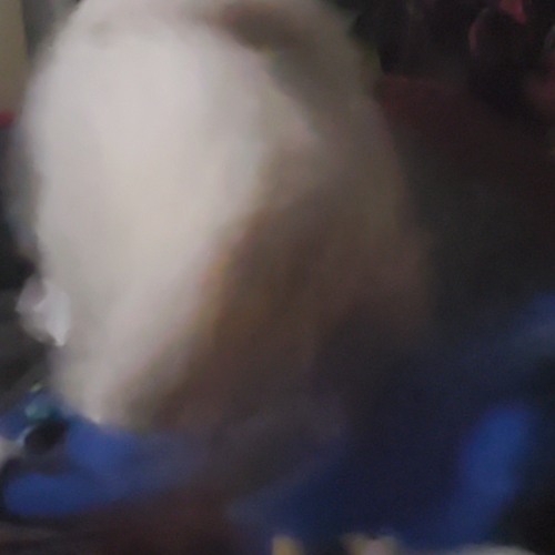 Stream HOUSE OF THE WORLD by Michael Reynolds | Listen online for free ...