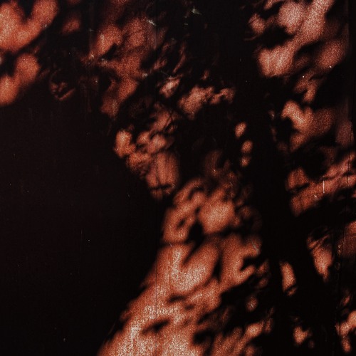 Stream Ogazón - 15 December 2023 by Rinse FM | Listen online for free ...
