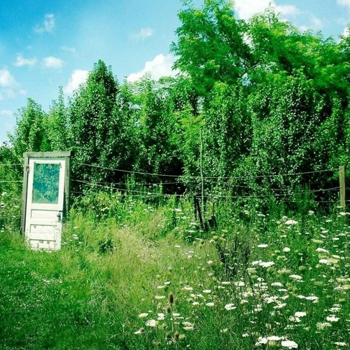 Stream Welcome To Pleasant Green. Population Unreliable by Chattox ...