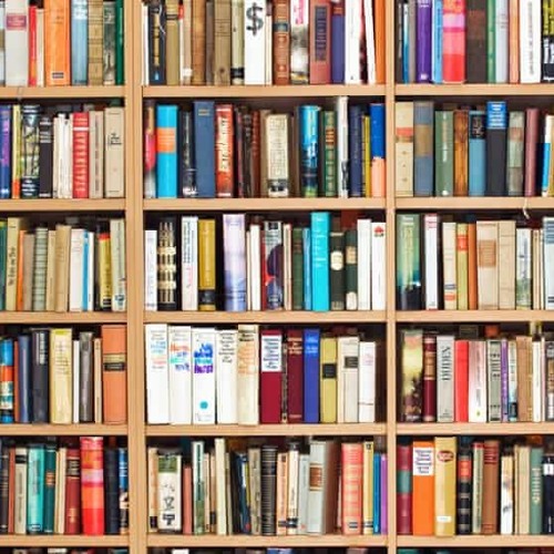 Stream episode Ep.1 Inquisitiveness: with Erica Eynouf by STCC Library ...