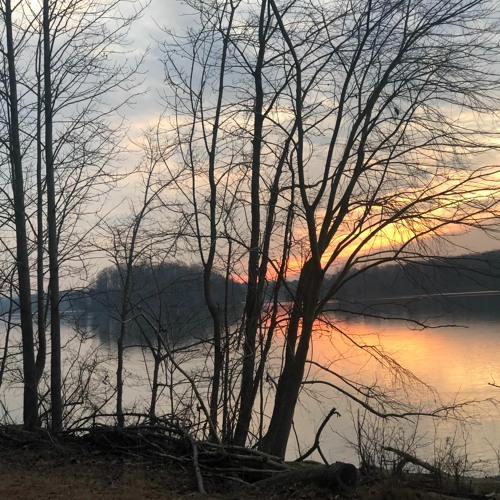 Stream The Platform by Hassen Cherifi AKA DJ Dey | Listen online for ...