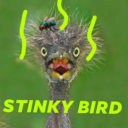 Stream Sneaker Beaker - stinky bird by Sneaker Beaker | Listen online ...