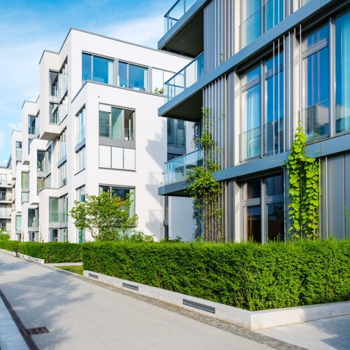 Stream The Hungry Bolts by The Bold Hounds | Listen online for free on ...