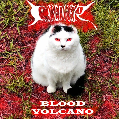 Stream Cat Seducer | Listen to Blood Volcano playlist online for free ...
