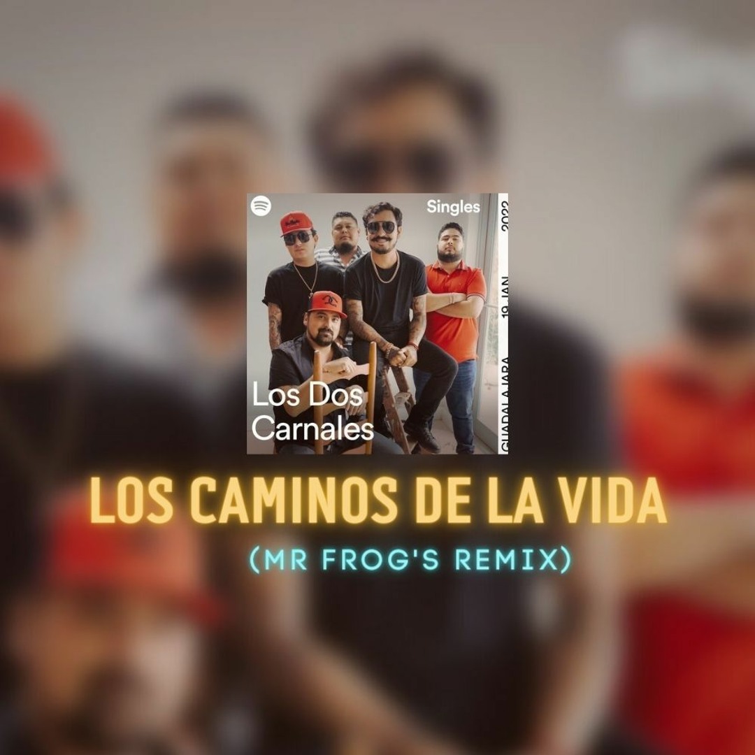 Stream Los Dos Carnales - Los Caminos De La Vida [ Mr Frog's Remix ] by ...