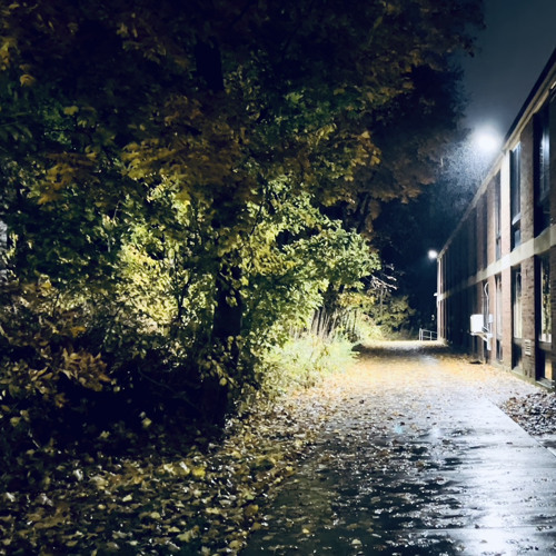 Stream Siren (Beat) by Rod Barrett Music | Listen online for free on ...