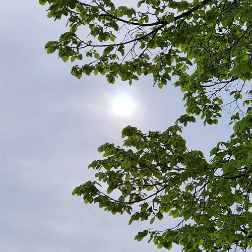 Stream 258. The Steps Of A Good Man (5/8/24 George Gerrard Original) by ...